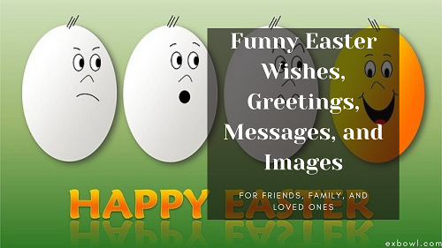 Funny Easter Wishes, Greetings, Messages, and Images - Exbowl