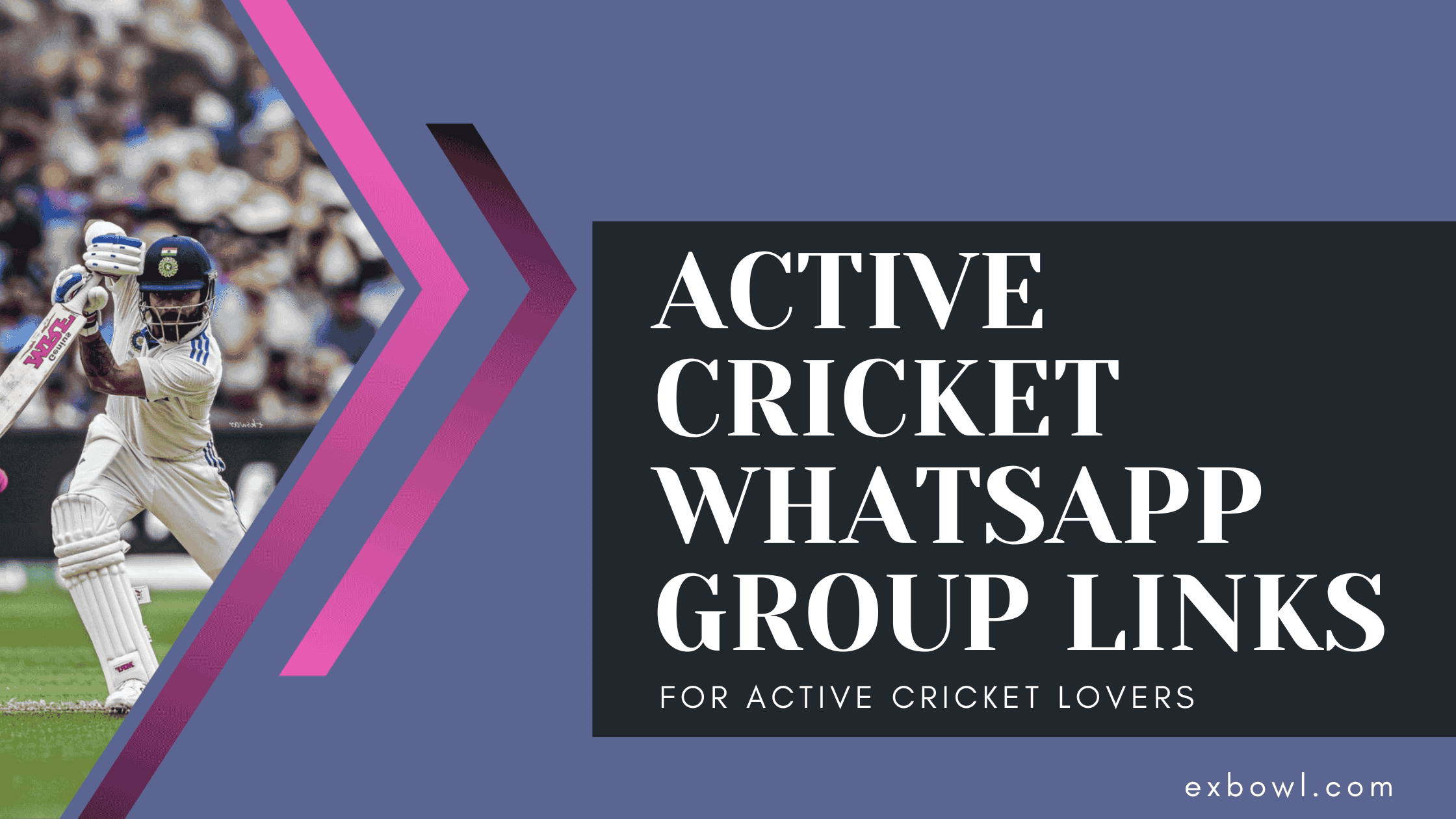 Cricket WhatsApp Group Links 2025: 260+ Active Cricket Groups - Exbowl